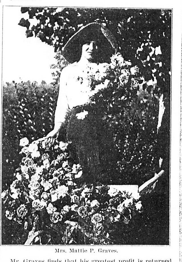 Mattie Primrose Dillard Graves: The Rose Queen of Ysleta - El Paso ...